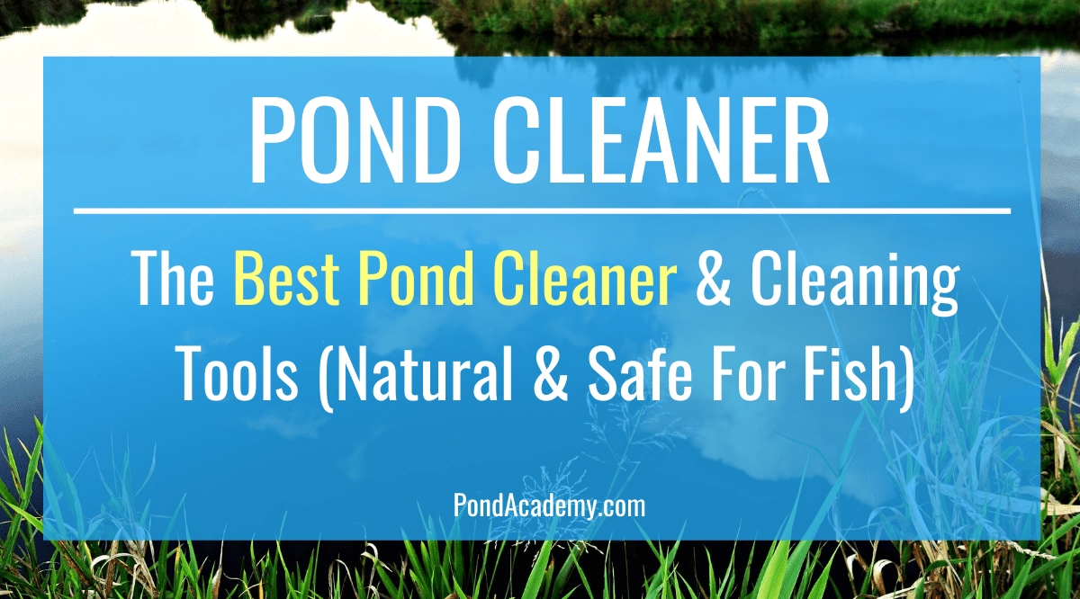 The Best Pond Cleaner & Cleaning Tools (Natural & Safe for Fish)