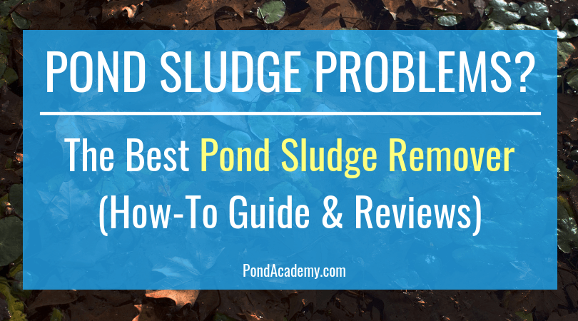 Best Pond Sludge Remover (How-To Guide & Reviews 2020)
