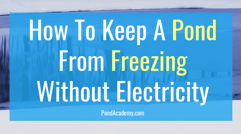 How To Keep A Pond From Freezing Without Electricity [Updated]