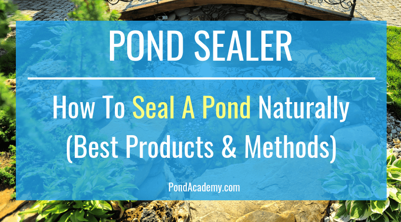 Pond Sealer: How To Seal A Pond Naturally (Best Products & Methods)