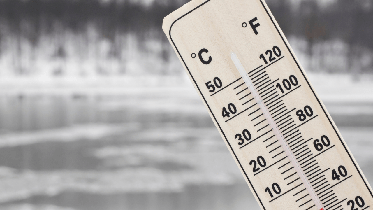 Pond Temperature Guide (Plus, Our Best Pond Thermometer Pick)