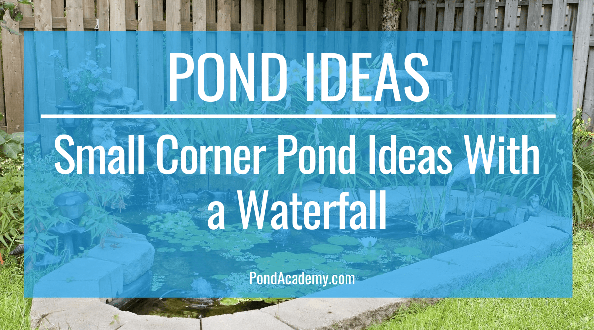 16 Small Corner Yard Waterfall Pond Ideas (With Pictures)