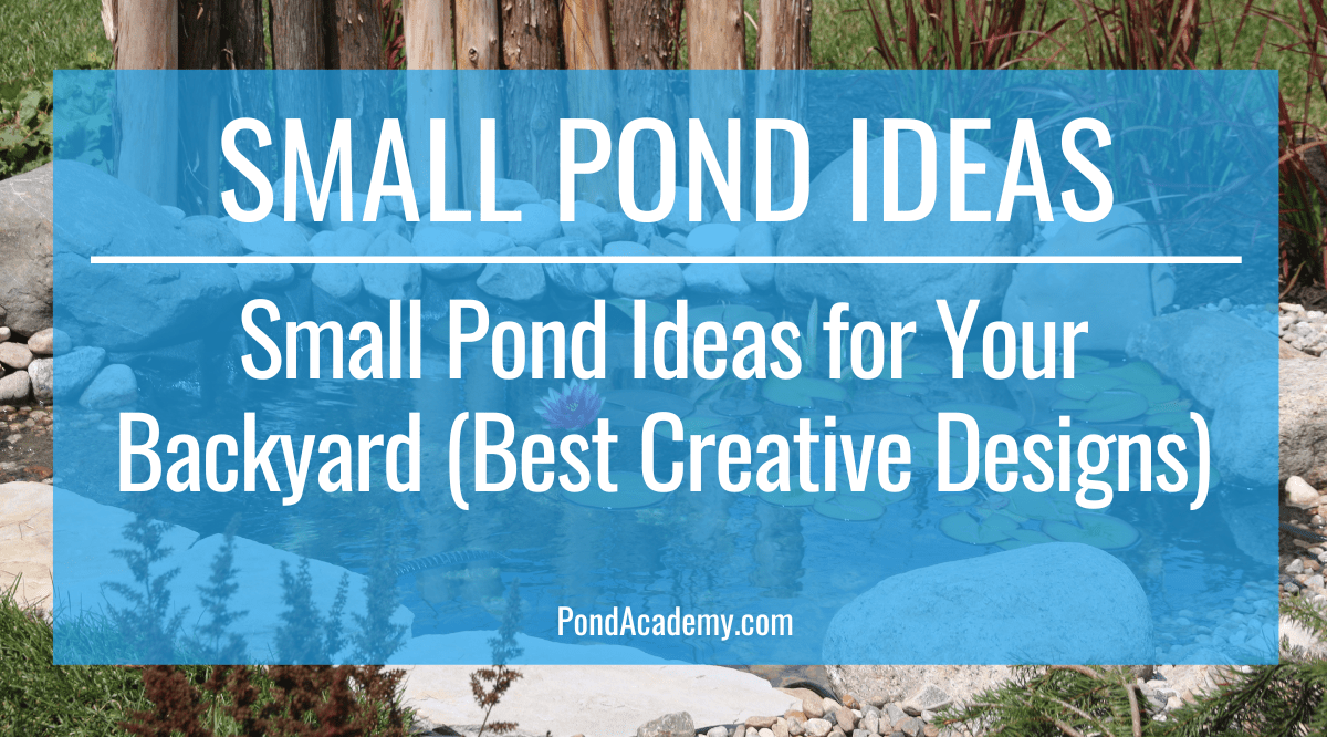 37 Small Pond Ideas for Your Backyard
